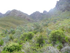 Meer as een – kombiekiehier